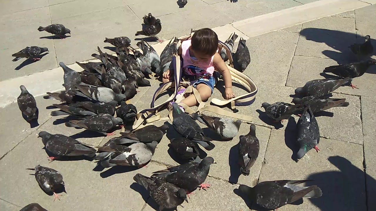 Reet arora (8) - YouTube