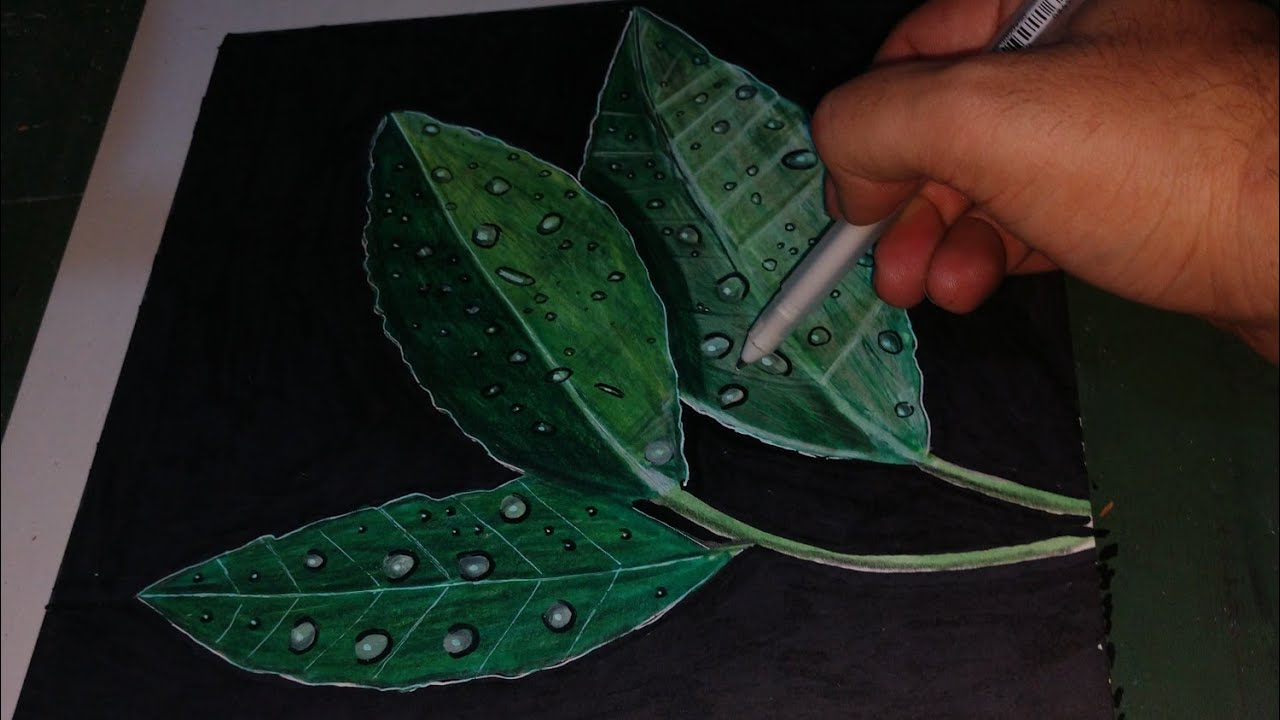 drawing a water drops on leaf||drawing a leaf - YouTube