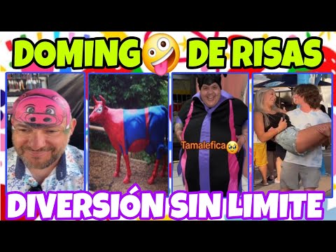 😂🐹 RECOPILACIÓN DE CLIPS DIVERTIDOS PARA LLORAR DE RISA🤣🎡 SI TE RÍES PIERDES IMPOSIBLE [VOL.625]