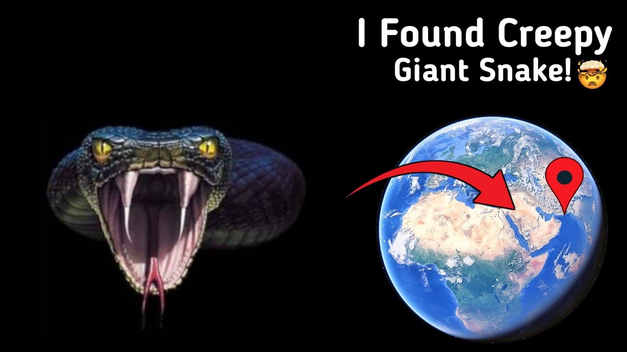 🤯 I Found a Very Strange Snake Skull in Real Life On Google Earth and ...
