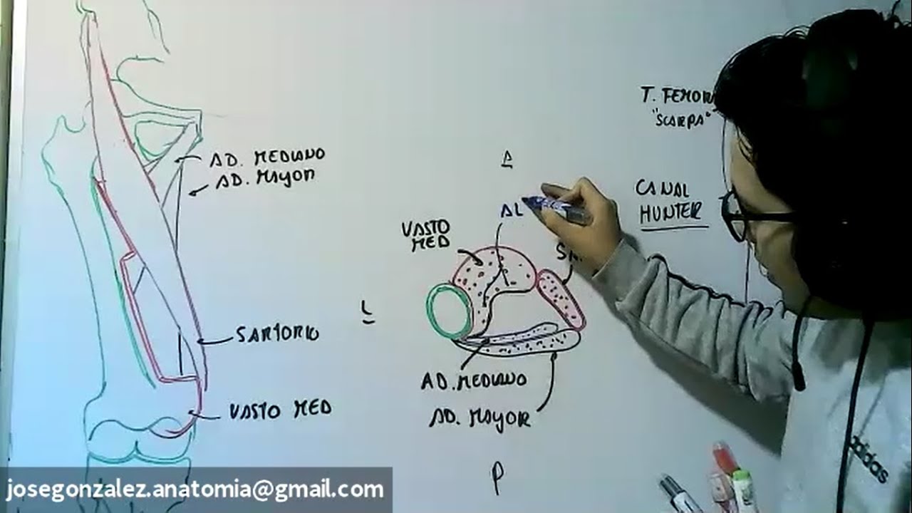 CANAL DE HUNTER (Fragmento de clase) - YouTube