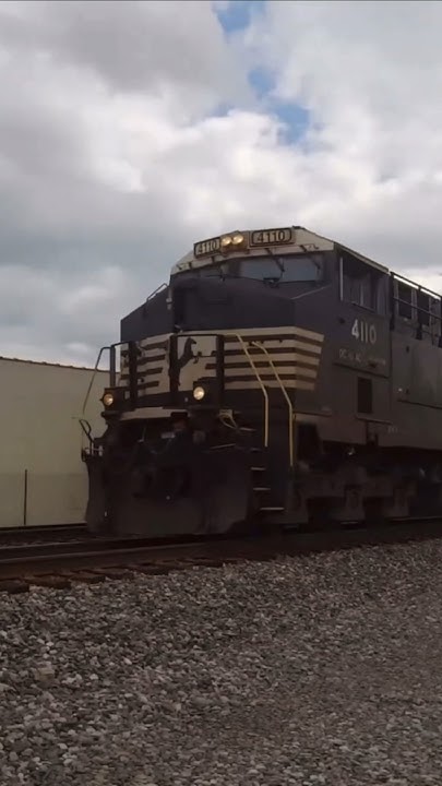 Ns 4110 Leads - YouTube