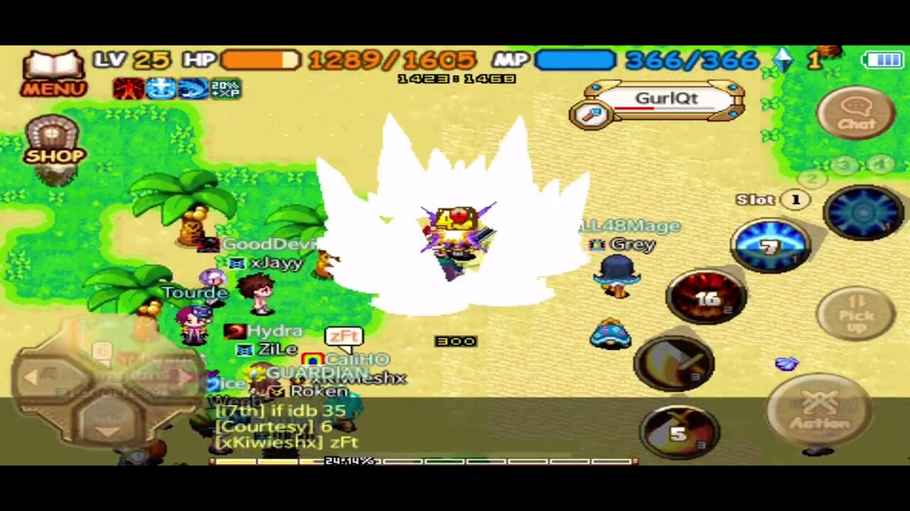 twom lvl 25 vs 40+ mage - YouTube