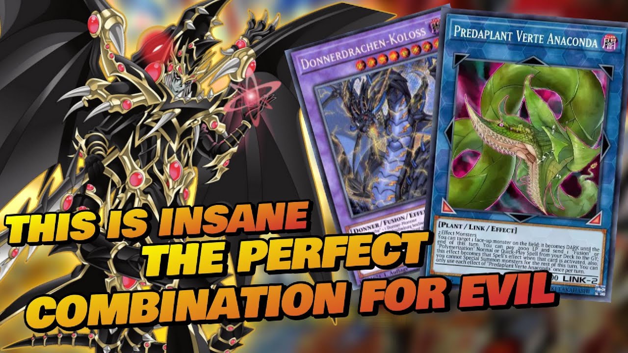 Nobody expected this combination BUT I did thunder dragon with dragoon ...