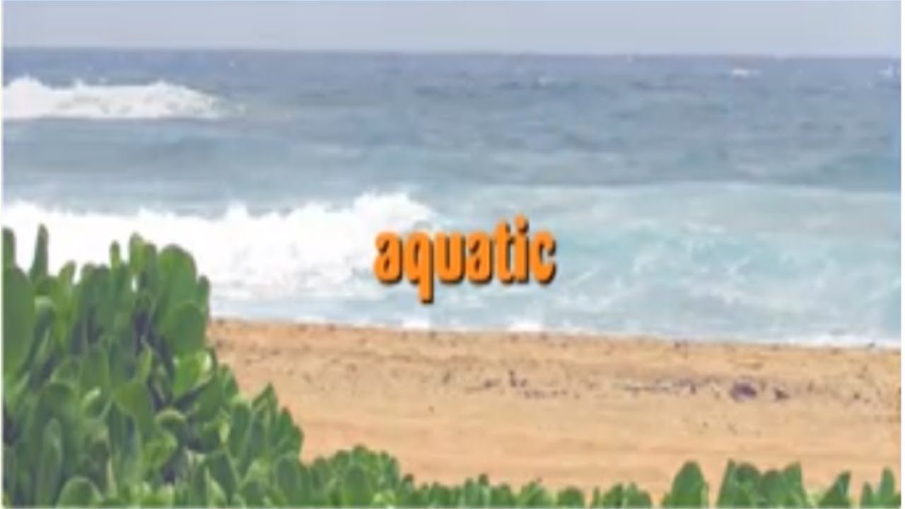 Eekoworld - Aquatic - YouTube