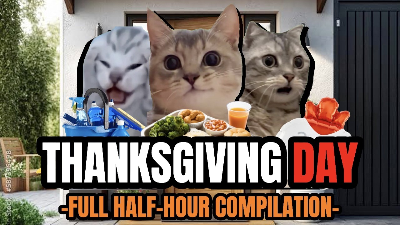 Cat MEMES: THANKSGIVING DAY - FULL HALF-HOUR COMPILATION - YouTube
