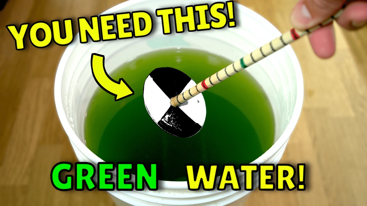 How to Make Green Water Easy with this Simple Tool! - YouTube