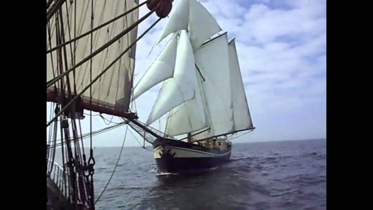 Team Avans Hogeschool promo film - YouTube