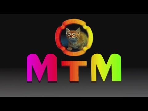 MTM Cat 2023 New Meow Logo Let's Effects - YouTube