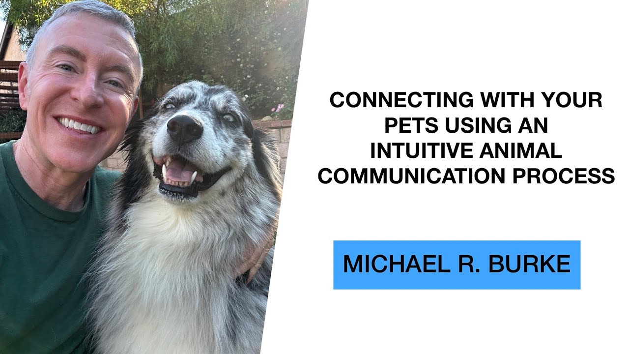 Connecting with Your Pet in a Circle of Light: An Intuitive Animal ...