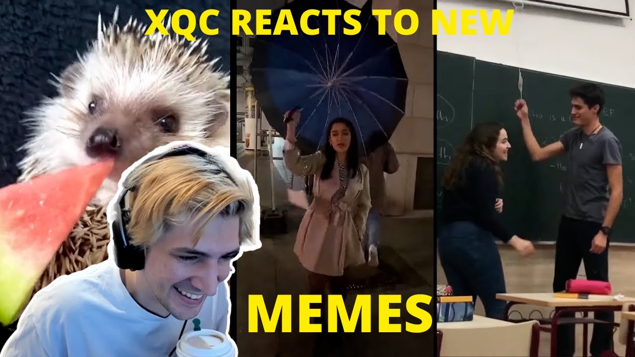 xQc Reacts To Funny Unusual Memes 172 with Chat - YouTube