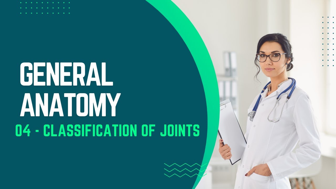 GENERAL ANATOMY 04 CLASSIFICATION OF JOINTS - YouTube