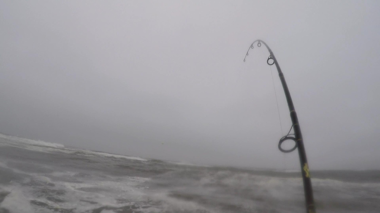 Long Island Surfcasting -Catching Spring BlueFish - YouTube