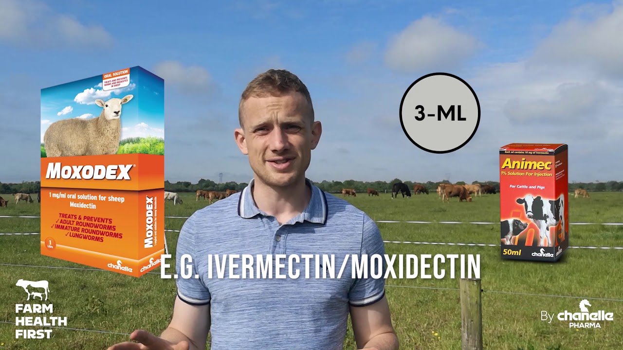 Wormer Classes for Cattle and Sheep - Understanding the Basics - YouTube