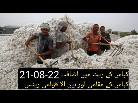 Cotton rate today||international cotton rate today - YouTube