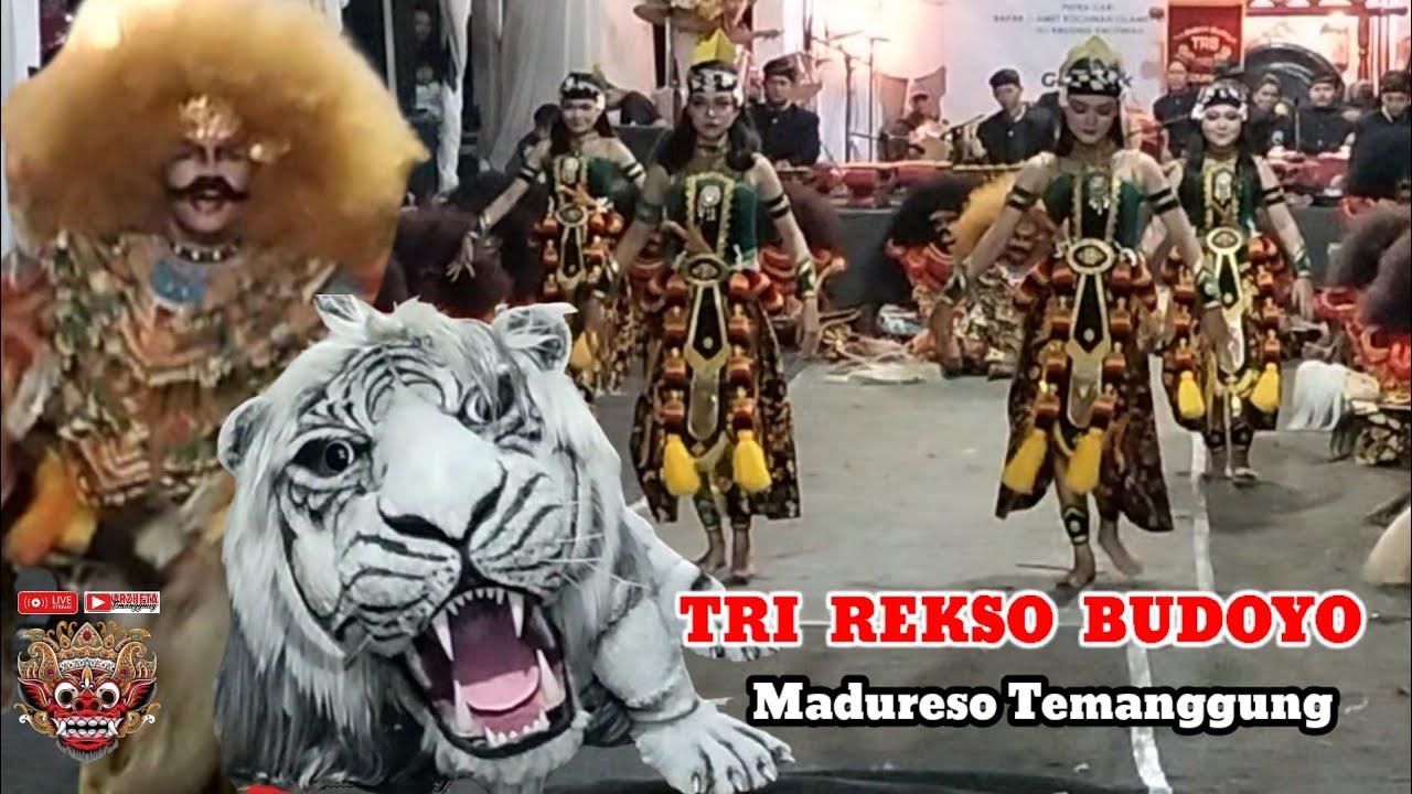 TRB TERBARU ‼️TRI REKSO BUDOYO MADURESO TEMANGGUNG TAMPIL JOSS LIVE ...