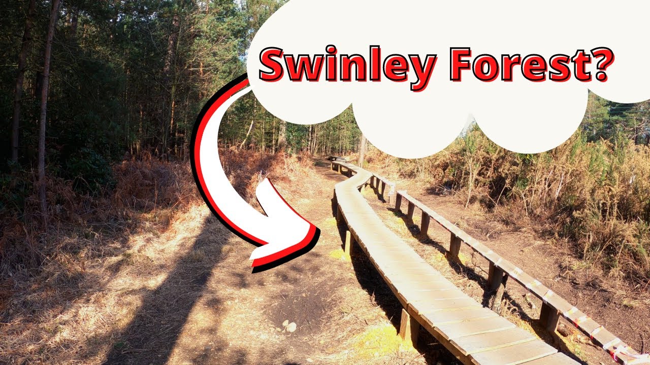 Swinley Forest Mountain Biking 2021. New and Improved Trails! - YouTube