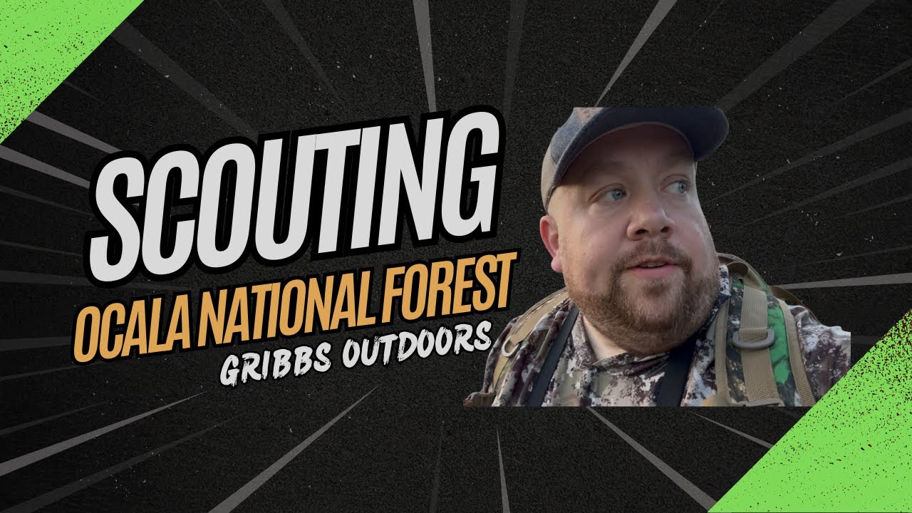 Scouting Ocala National Forest Deer Hunting Seasons - YouTube