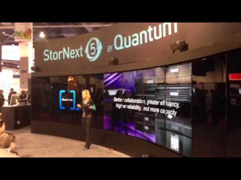 Veronica Todd speaking on Quantum - YouTube