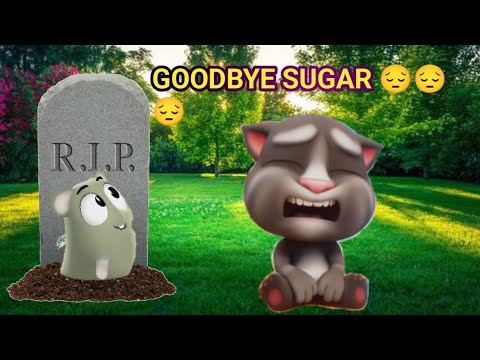 MY TALKING TOM 2 GOODBYE SUGAR RIP