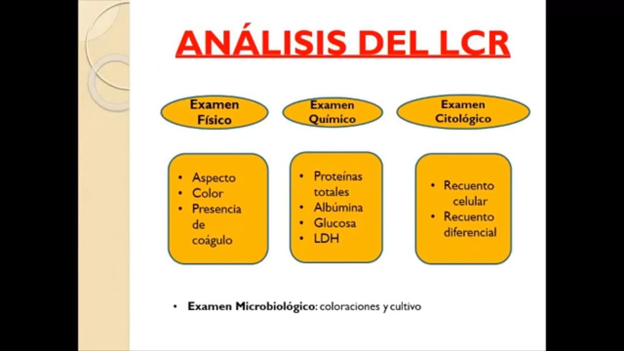 Liquido cefalorraquídeo LCR - YouTube