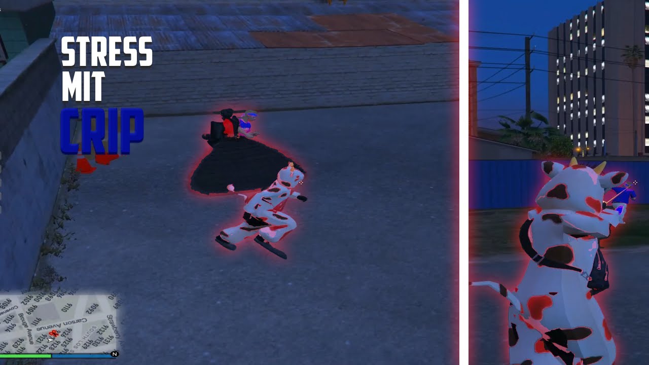 FiveM Trolling auf höchstem Niveau Teil 8 | Stress mit Crip - YouTube