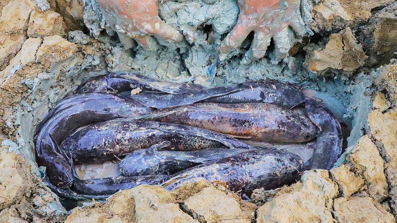 Dry Season 2024 Fishing | Hand digging in dry lake to harvest a lot of ...