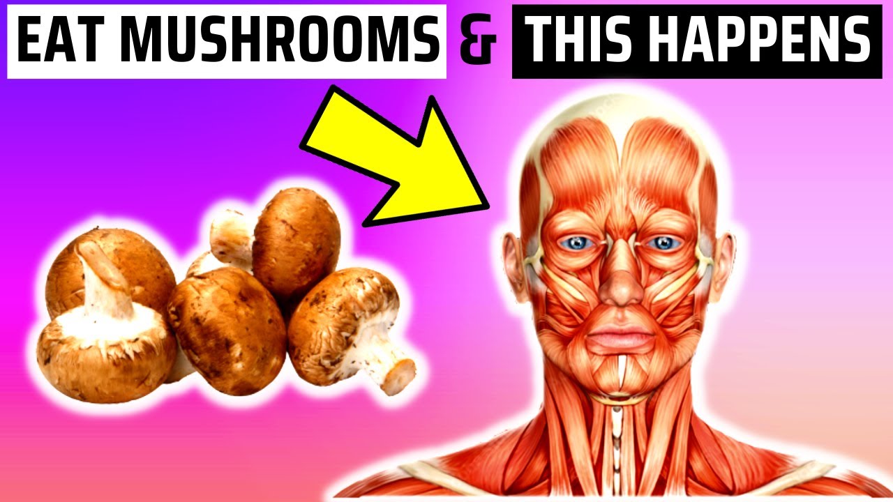 6 Reasons Why You Should Eat Mushrooms EVERY DAY - YouTube