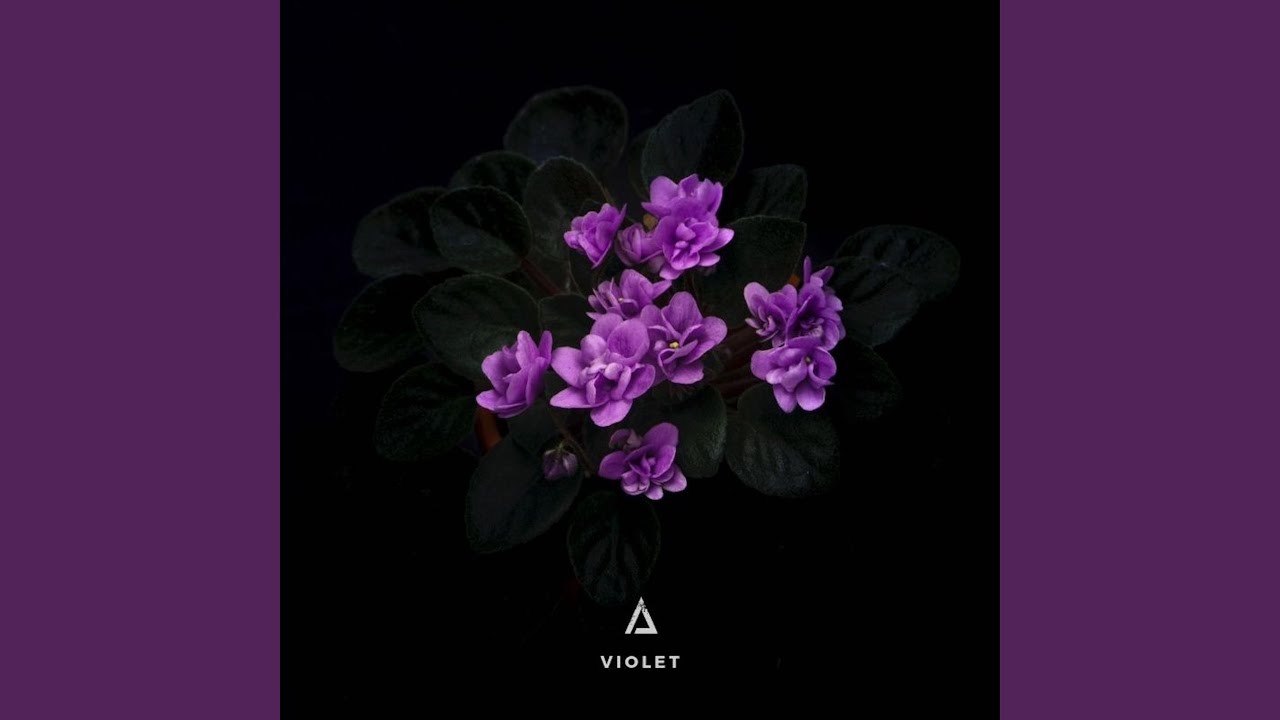Violet - YouTube