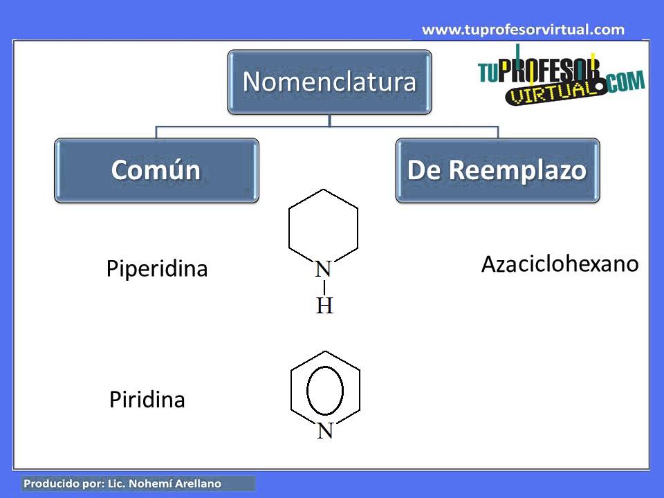 Nomenclatura de Aminas Heterocíclicas - Lección Teórica 1 - YouTube