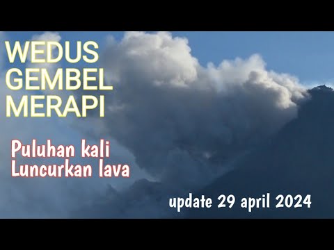 GUNUNG MERAPI LUNCURKAN WEDUS GEMBEL, Suara Gemuruhnya Bikin Kaget ...