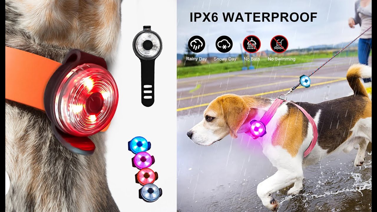 Battery Powered Multi Colors Pet Collar Light Dog Safety Lights For Dog ...