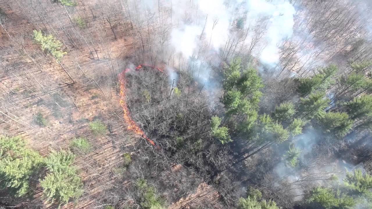 Forest Fire with Drone Support - YouTube