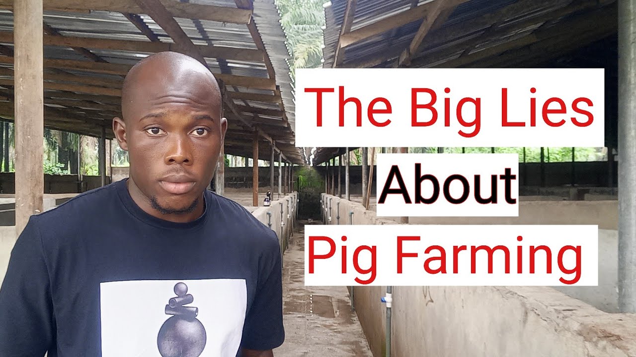 The 5 Big Lies About Pig Farming - YouTube
