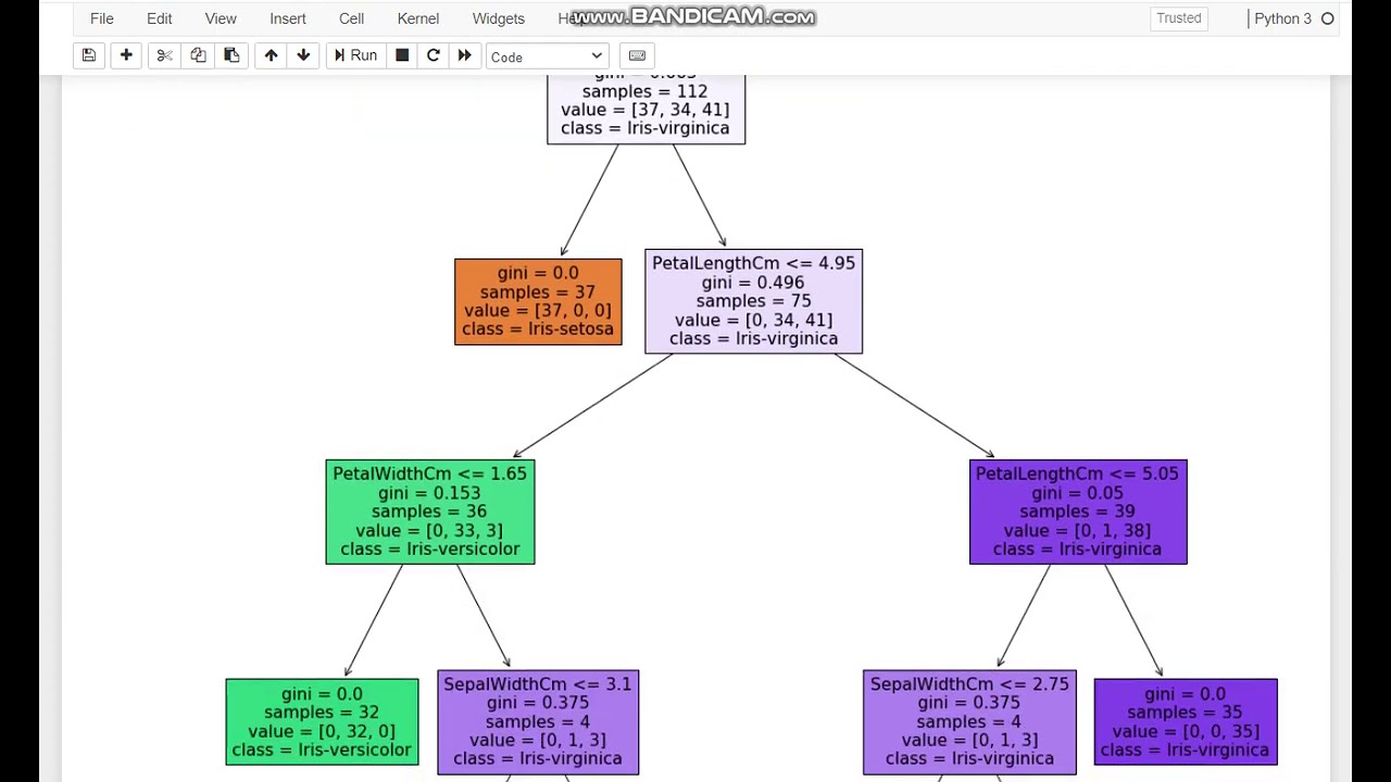 DecisionTreeClassifier for IRIS dataset - YouTube