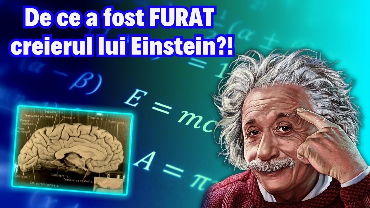 De ce a fost furat creierul lui Einstein? Cum a ajuns subiect de ...