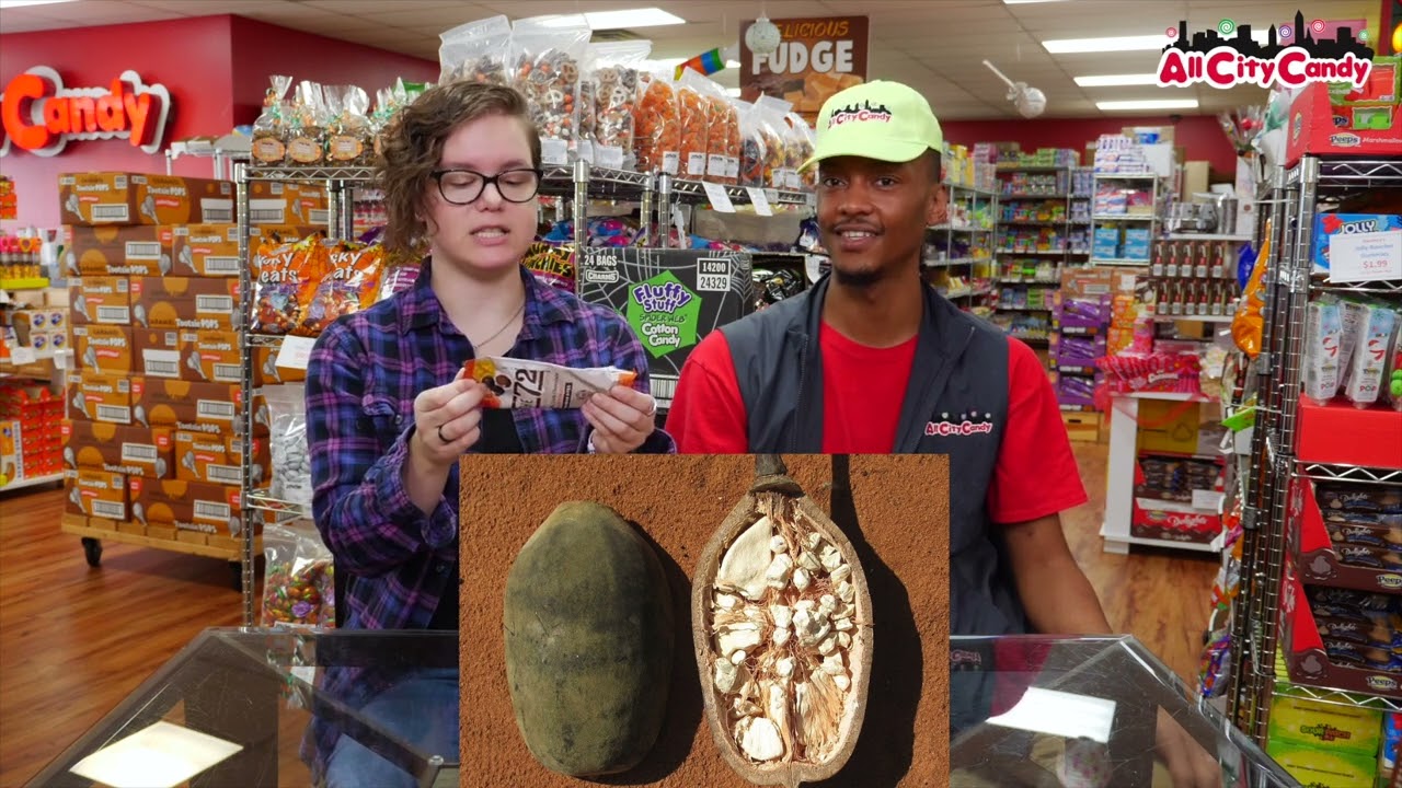 What Is Baobab?! 72 Chocolate Baobab Bites and Java Jolt Taste Test ...