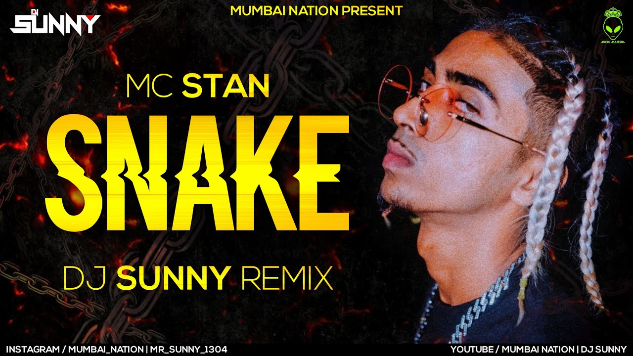 MC STAN - SNAKE REMIX | DJ SUNNY | TADIPAAR - YouTube