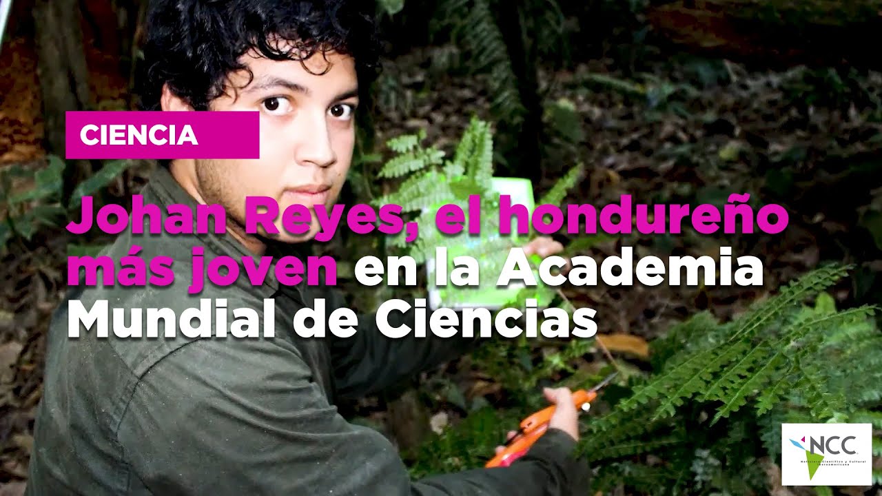 Johan Reyes, el hondureño más joven en la Academia Mundial de Ciencias ...