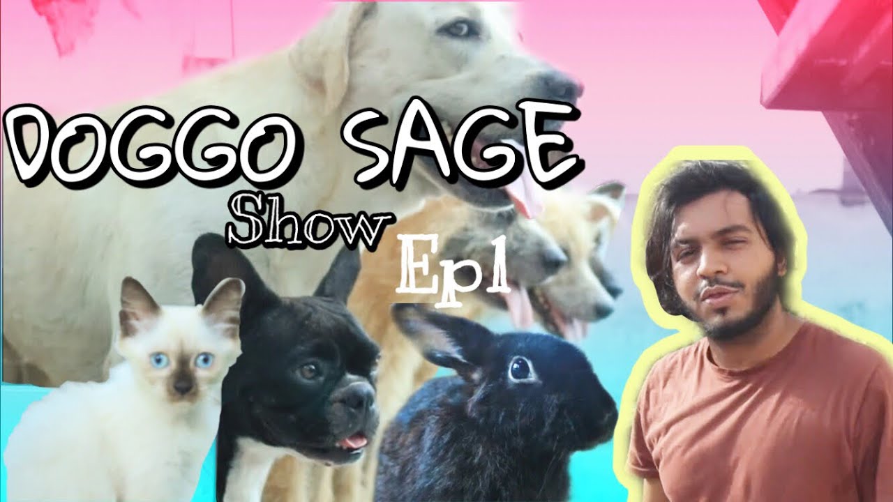 The DOGGO SAGE show |S1Ep1 - YouTube