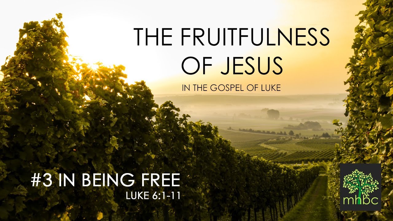 MHBC Fruitfulness of Jesus #3 - In Being Free - YouTube