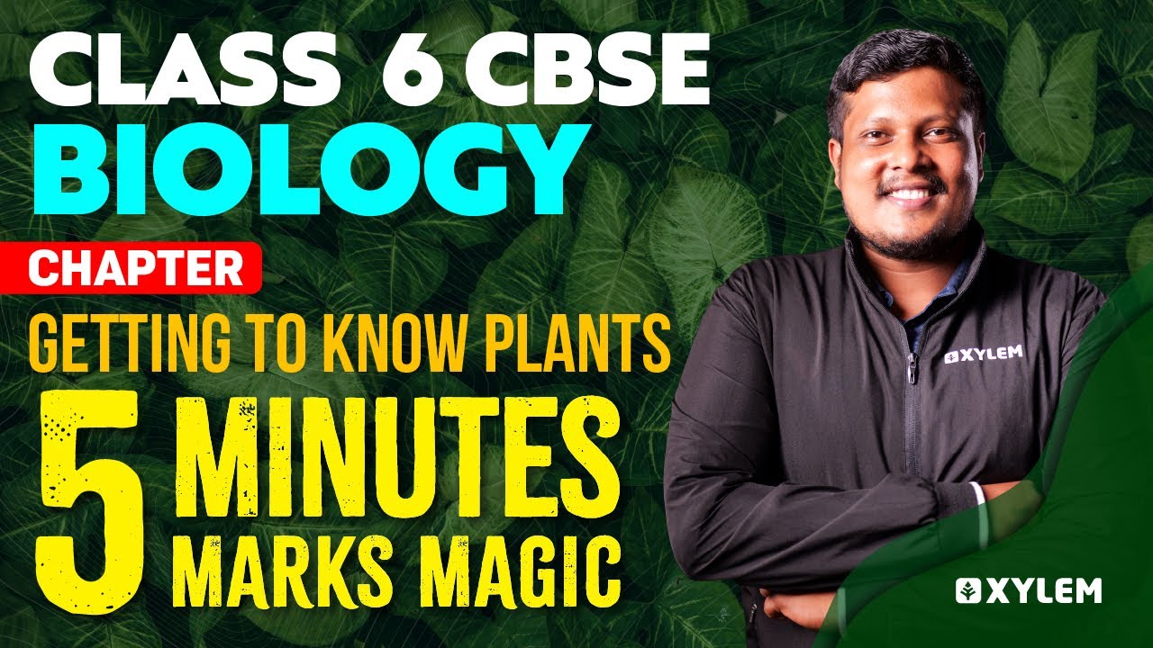 Class 6 CBSE Biology | Chapter: Getting to Know Plants, 5 minutes 5 ...