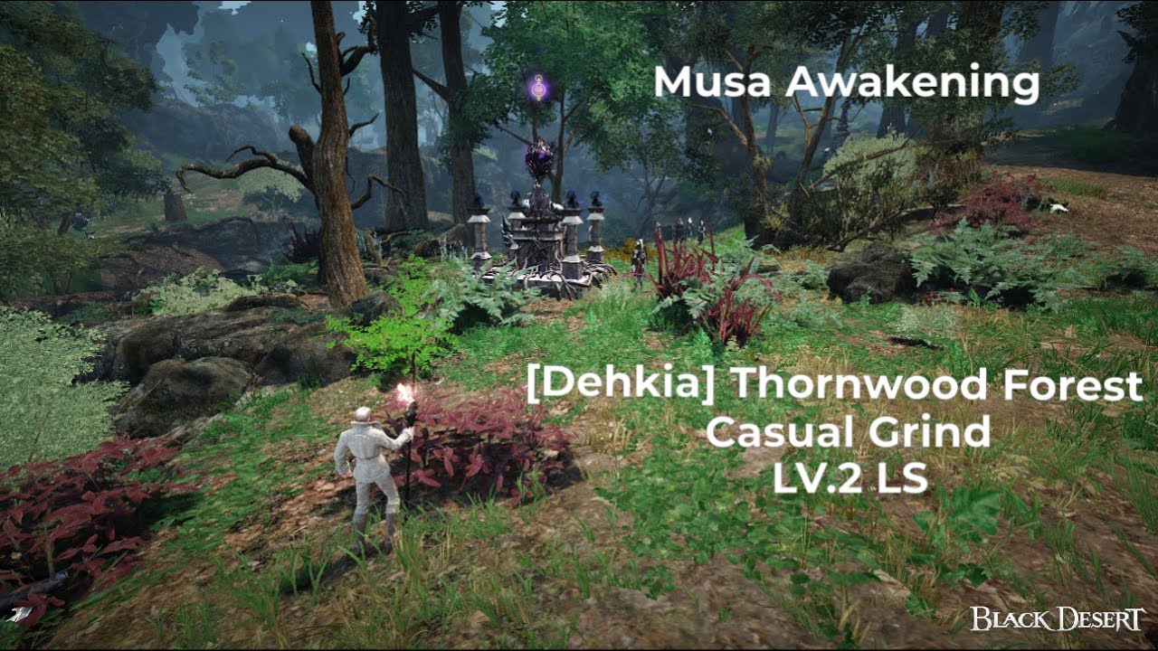 BDO | Musa Awakening | [Dehkia] Thornwood Forest | Casual Grind LV.2 LS ...