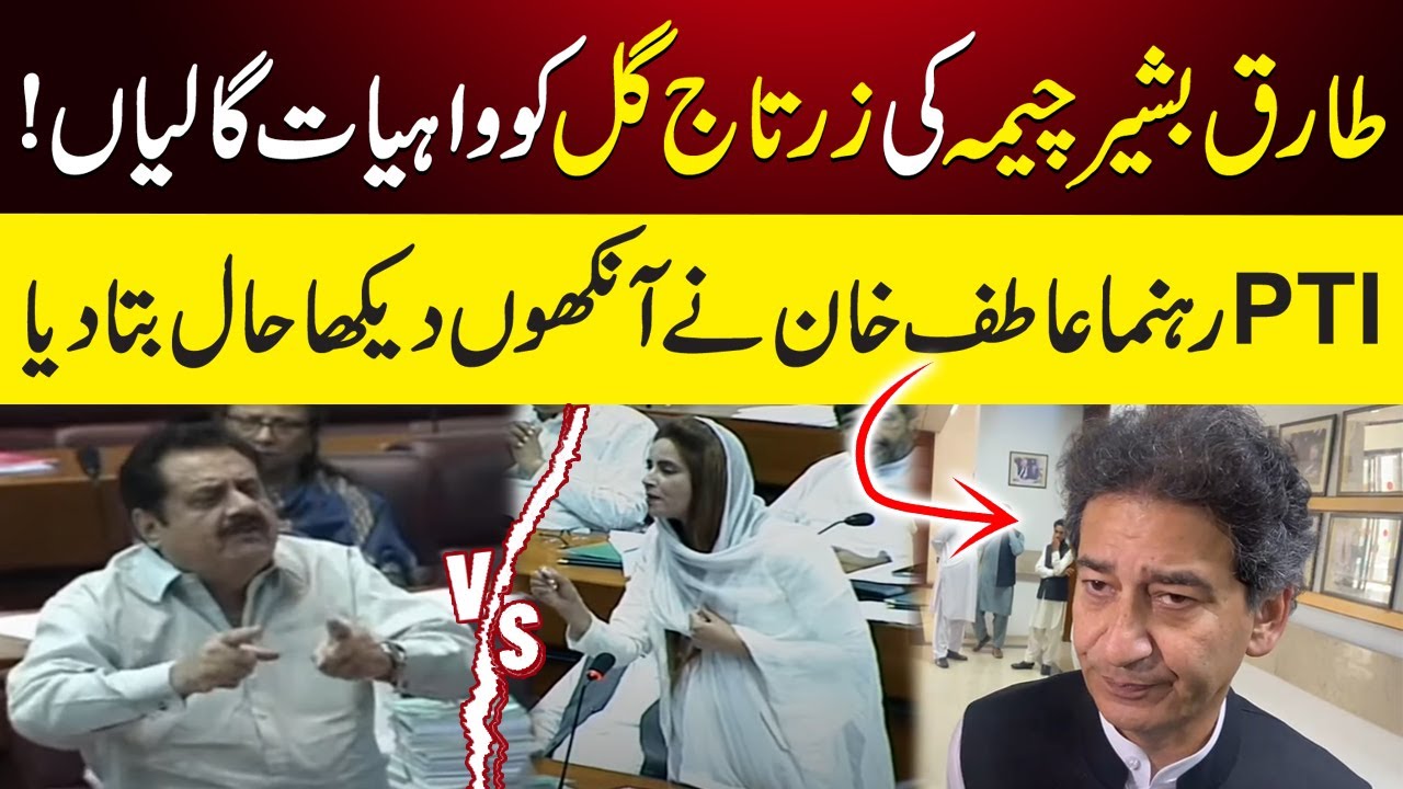 Tariq Bashir Cheema Fight with Zartaj Gull | Atif Khan Reaction | Pakistan Today - YouTube