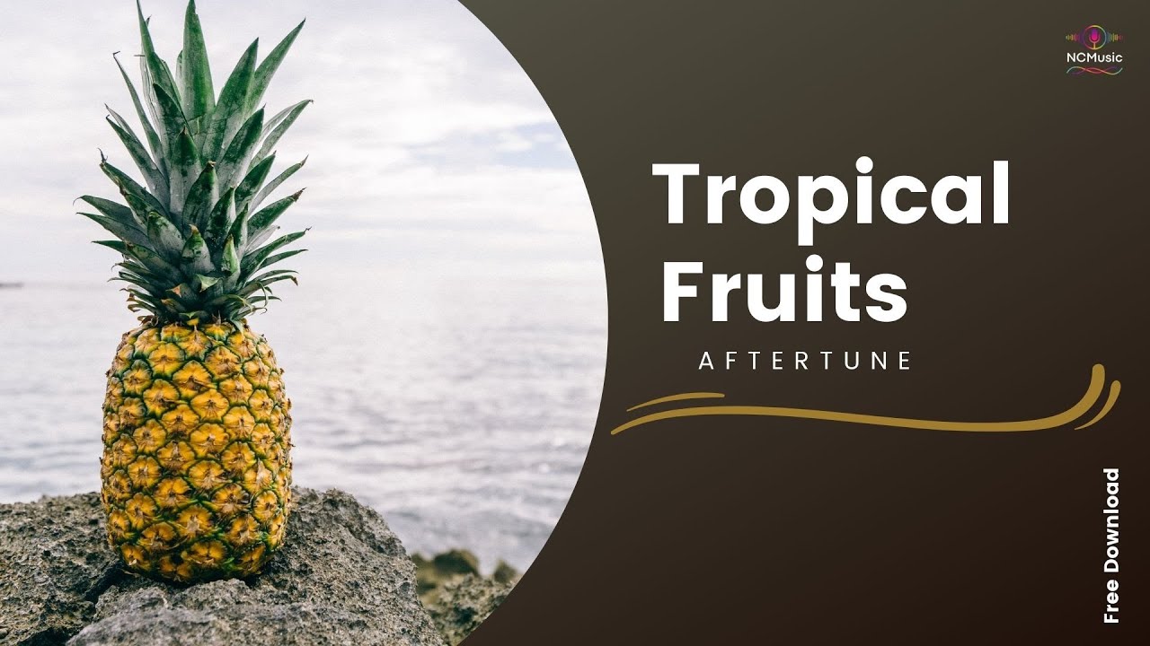 Tropical House Music by " Aftertune - Tropical Fruits (Original Mix ...
