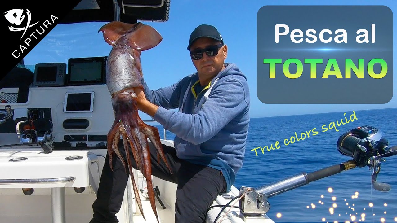 Pesca al totano - True colors squid - YouTube