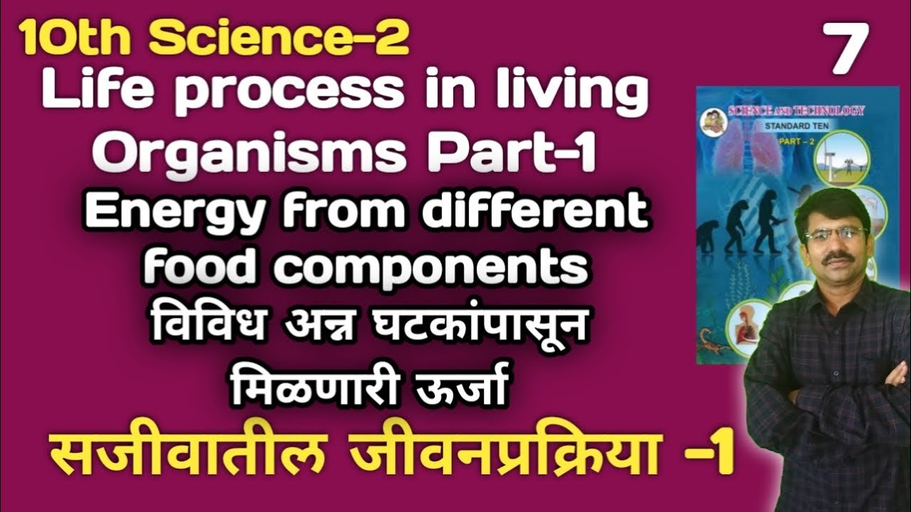 10th Science | Life Processes in Living Organism-1| Energy from ...