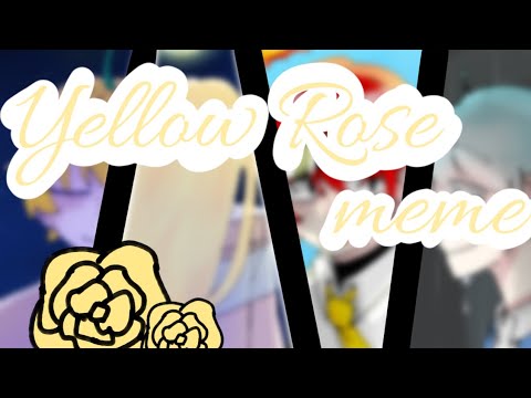 Yellow Rose meme - YouTube