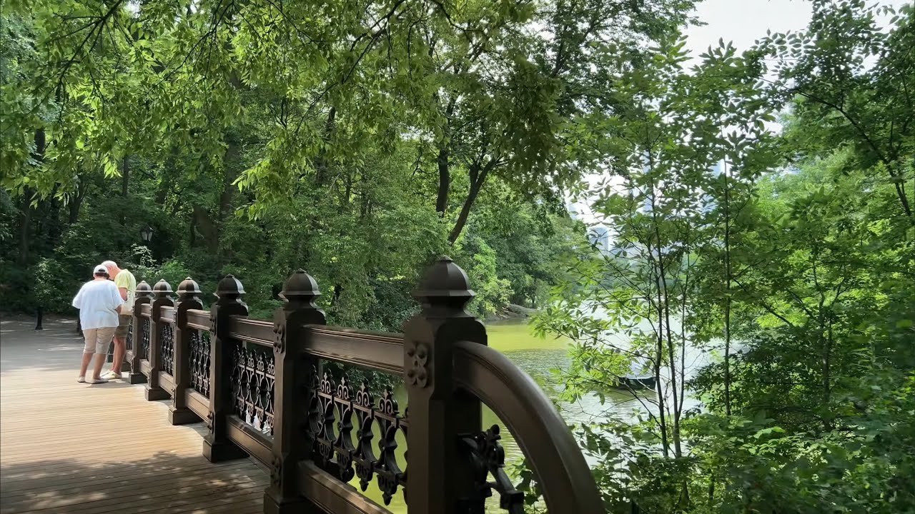 Central Park Walk | from Oak bridge to Riftstone Arch | New York Tour ...
