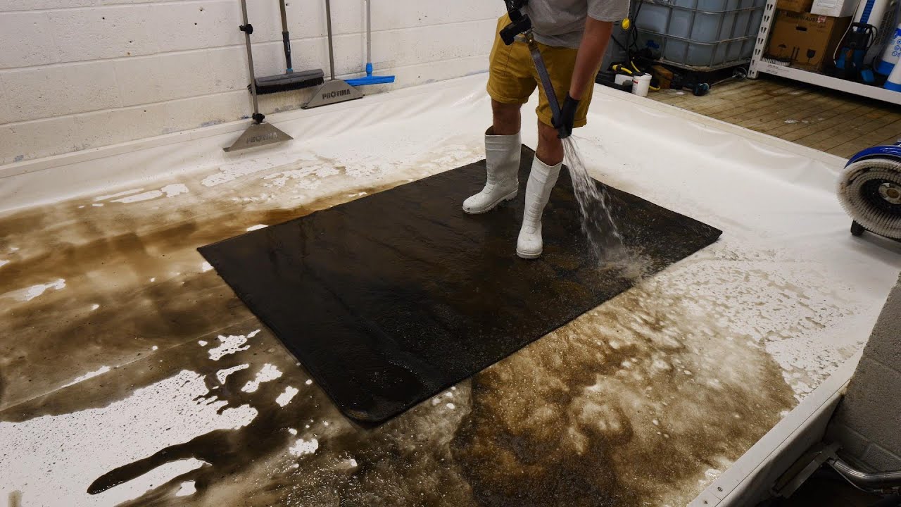 The Ultimate Makeover: Rescuing and Cleaning a Filthy Dumped Rug ...